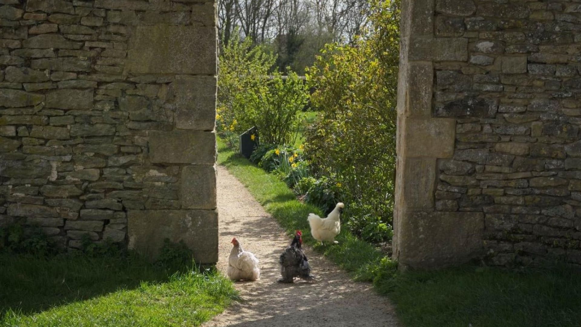 Cogges Manor Farm new season opening - The Oxford Magazine
