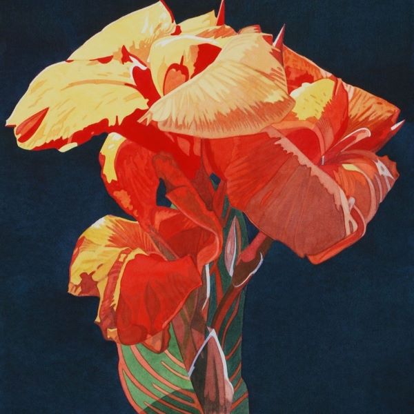 Marjorie Collins: A Retrospective 1975-2025 - The Oxford Magazine