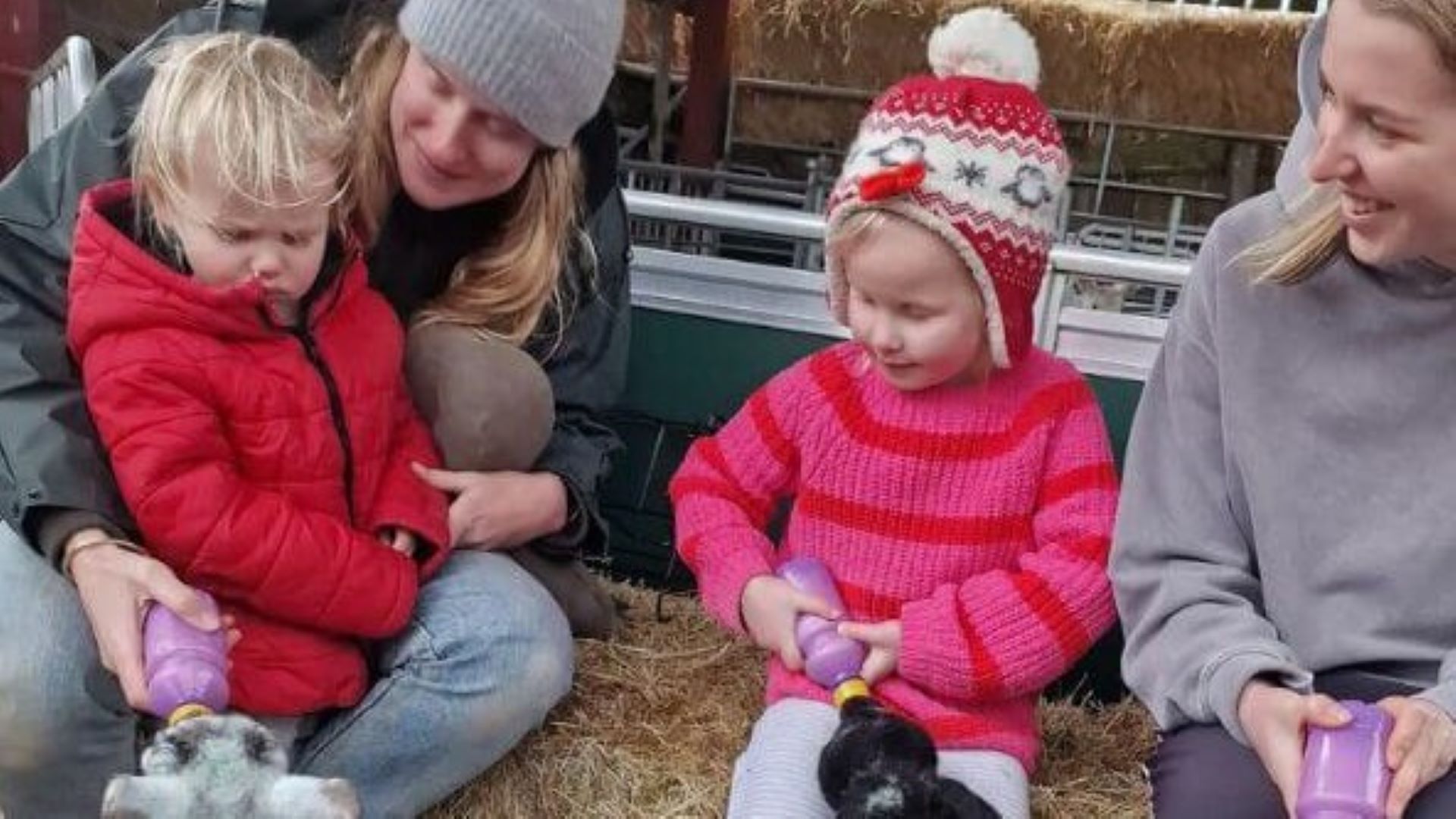 Spring on the Farm at Hogshaw Farm & Wildlife Park - The Oxford Magazine