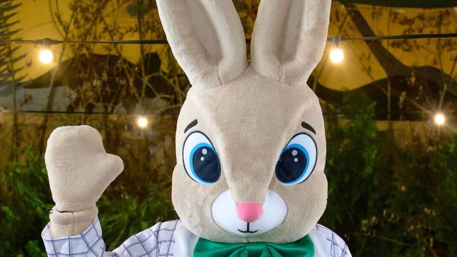 Spring on the Farm at Hogshaw Farm & Wildlife Park - The Oxford Magazine