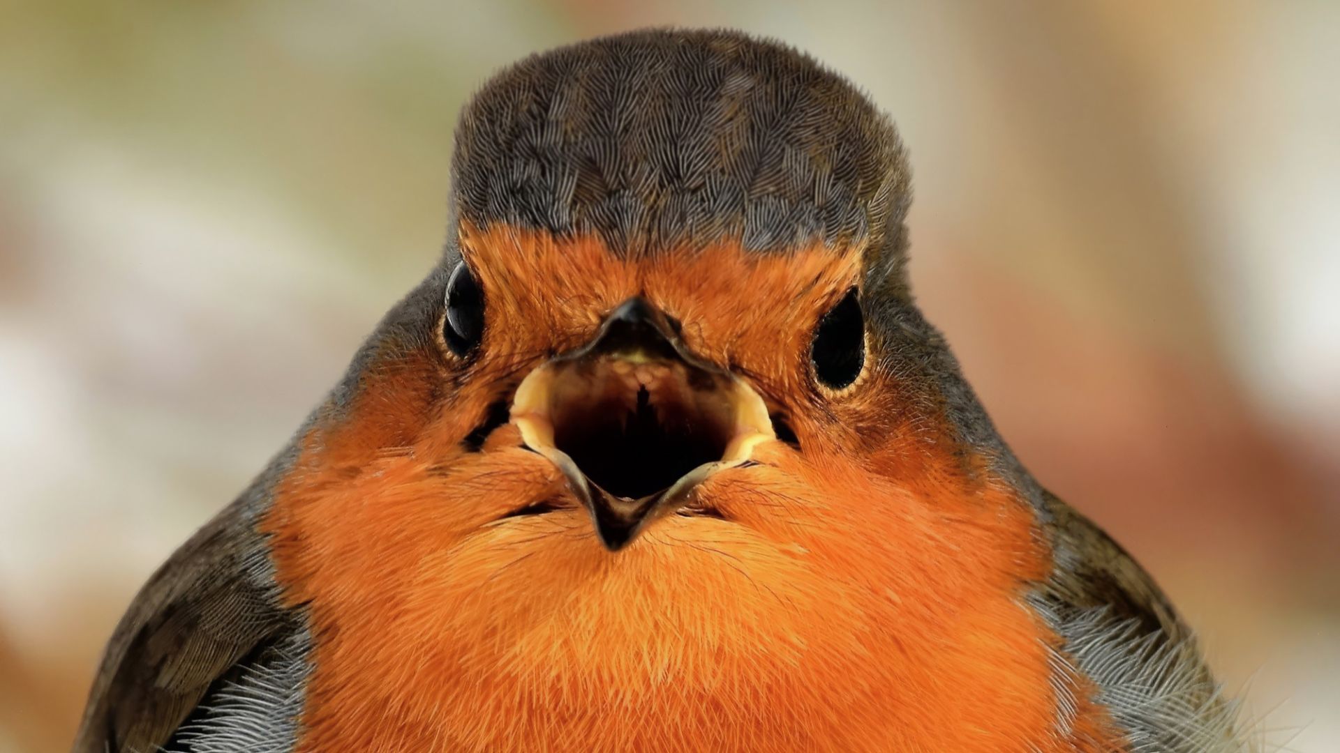 BBOWT launches 2025 Nature Photography Competition - The Oxford Magazine