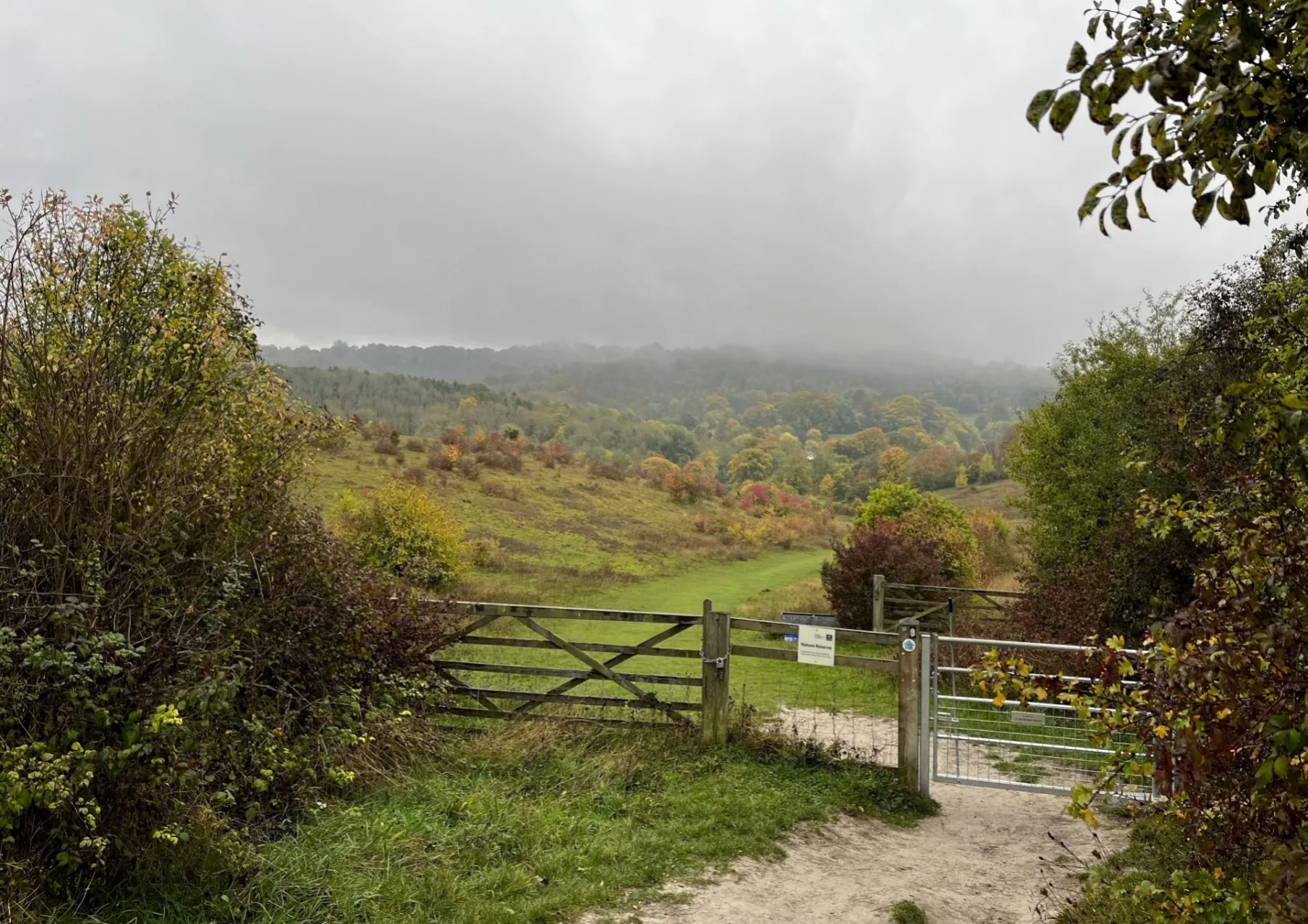In Pictures: BBOWT 2023 Photography Competition winning images - The ...