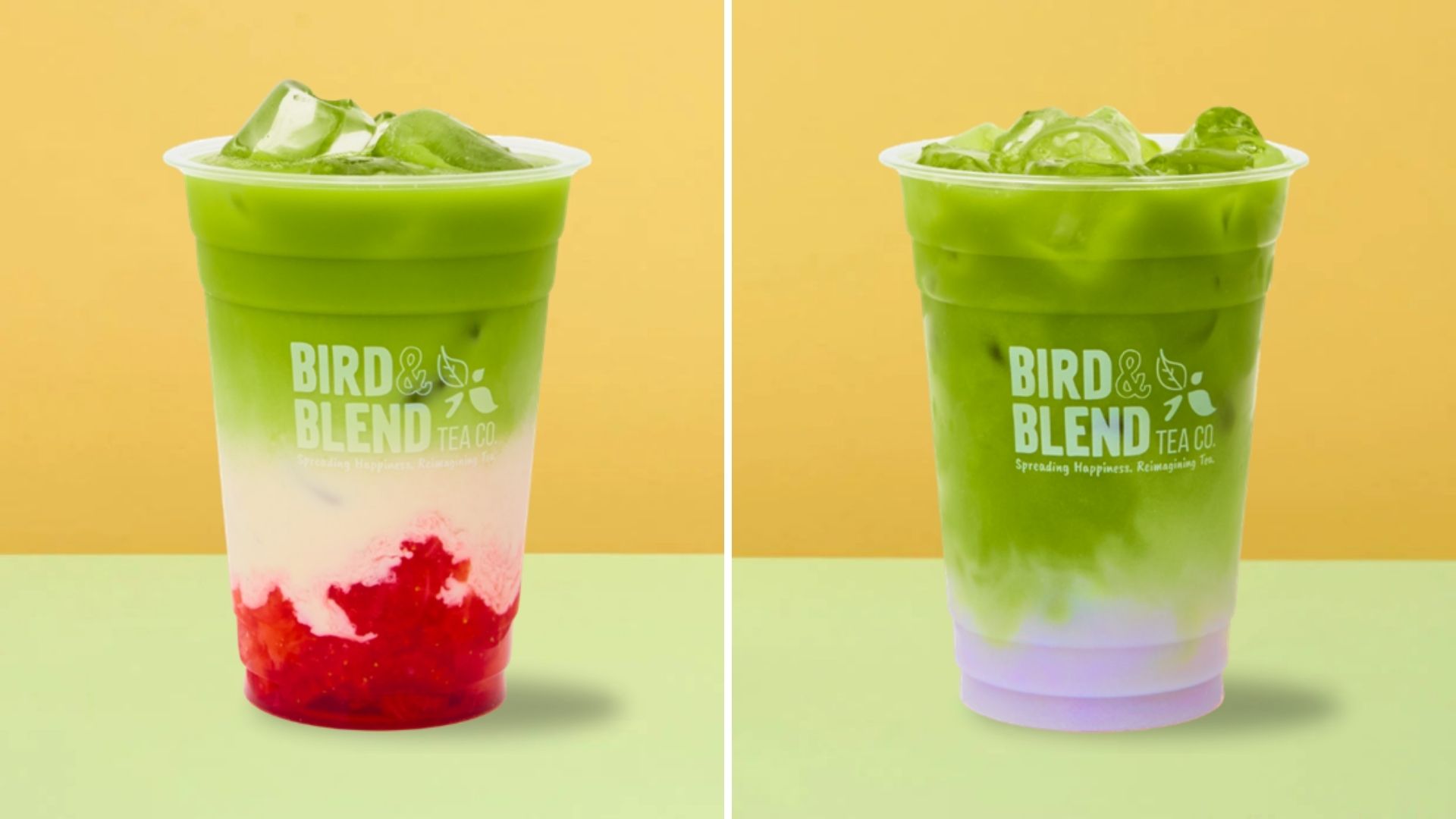 Bird & Blend Tea Co. celebrates A-Level Results Day with free matcha ...