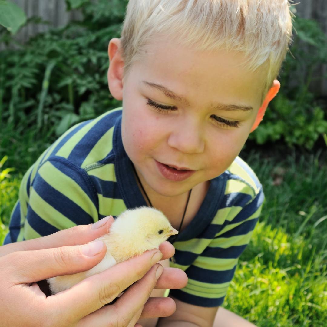 Spring on the Farm at Hogshaw Farm & Wildlife Park - The Oxford Magazine